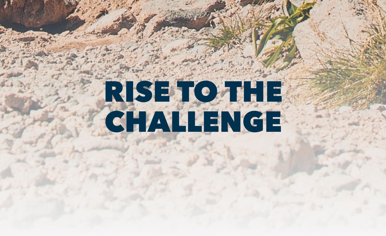 How Honda's Rugged Off-Road SUVs & Trucks Pass the Test